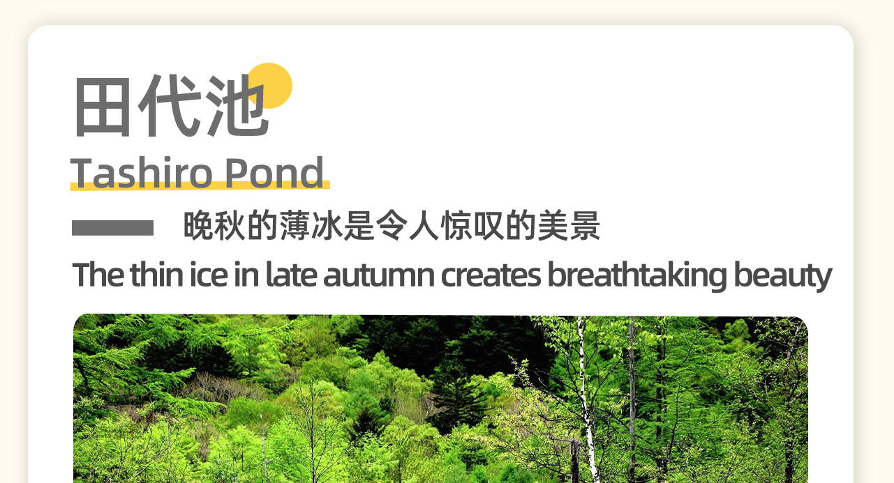 [Nagoya Kamikochi Hiking Tour] One-Day Nature Forest Hiking Tour of ...